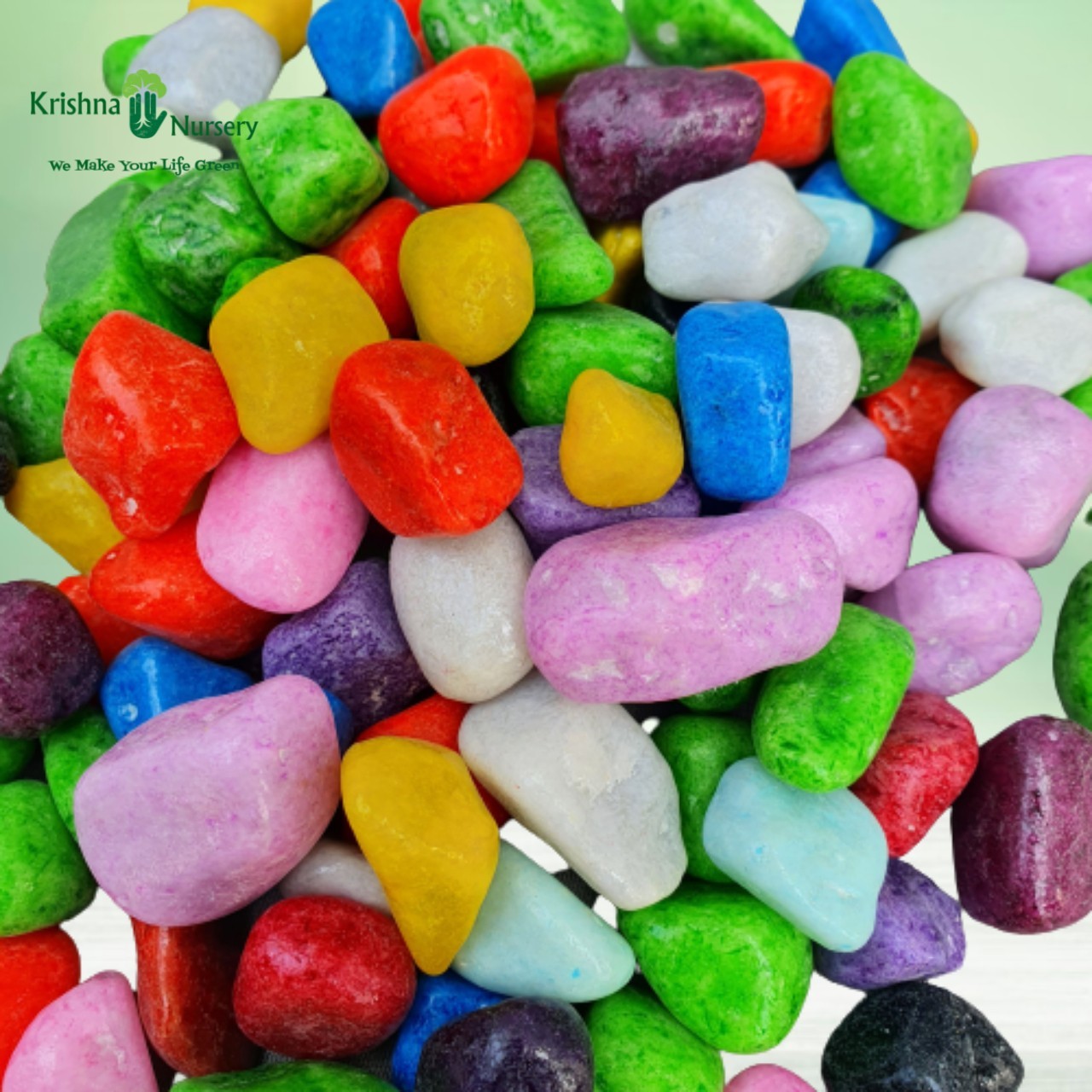 Buy Pebbles Online - Krishna Nursery