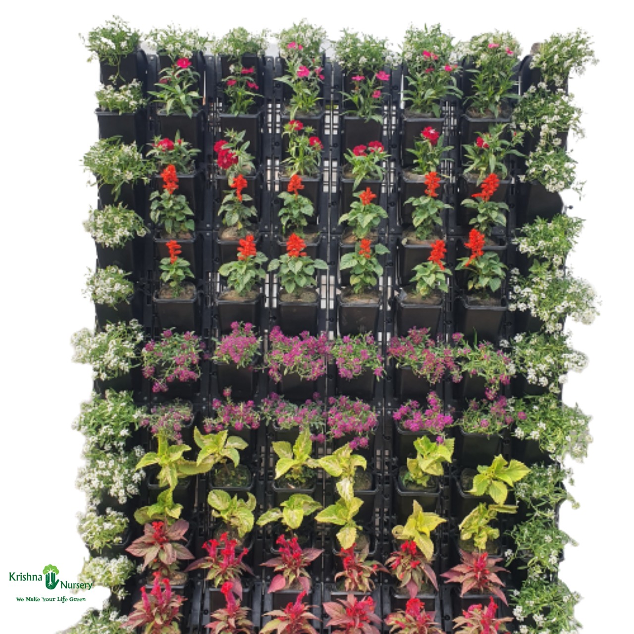 Moveable Green Wall with Plant
